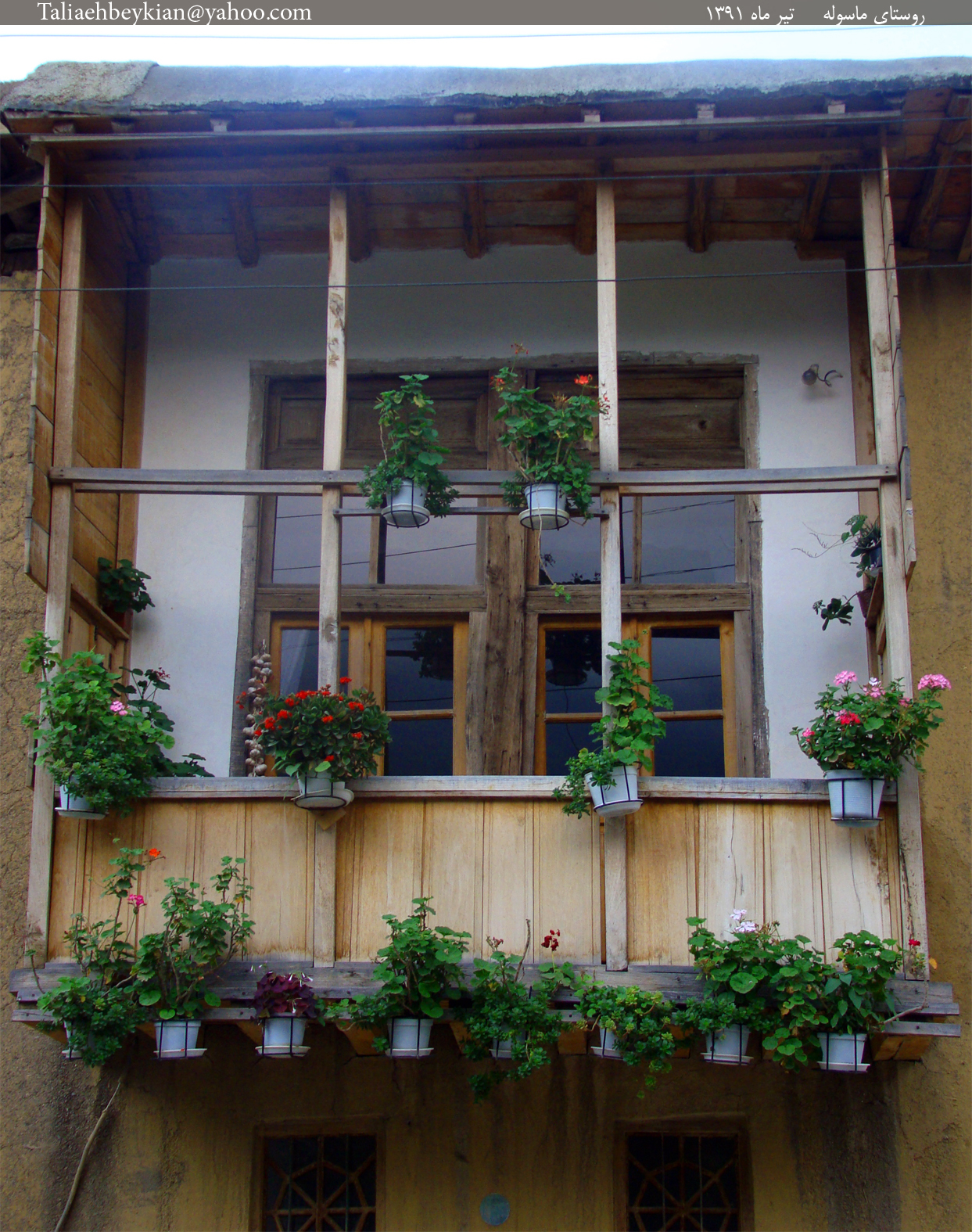 گلدان شمعدانی